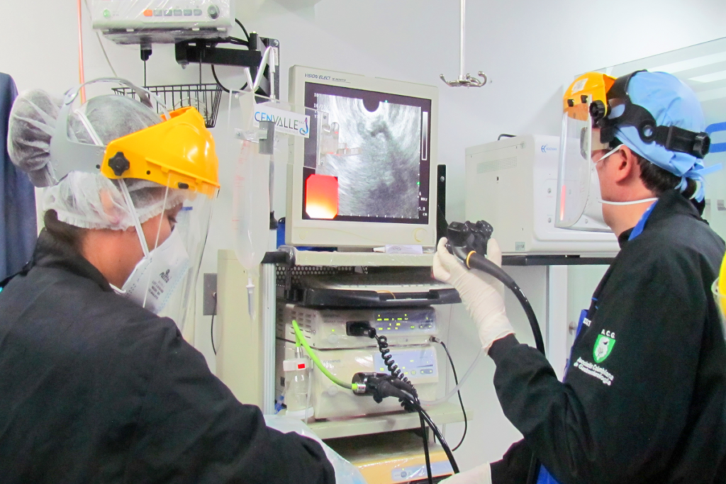 Ecografía endoscópica - CENVALLE