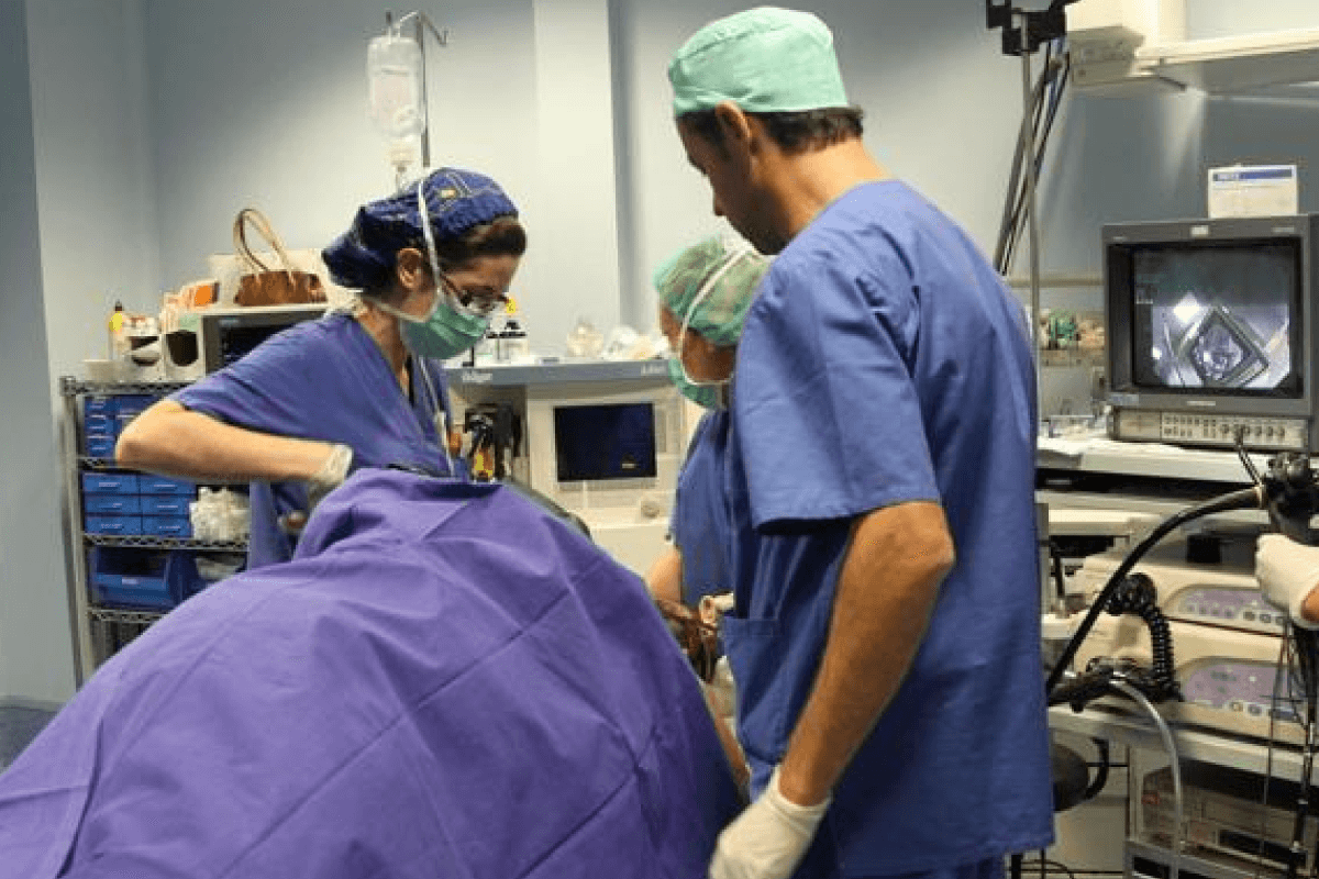 Ecografía endoscópica – CENVALLE